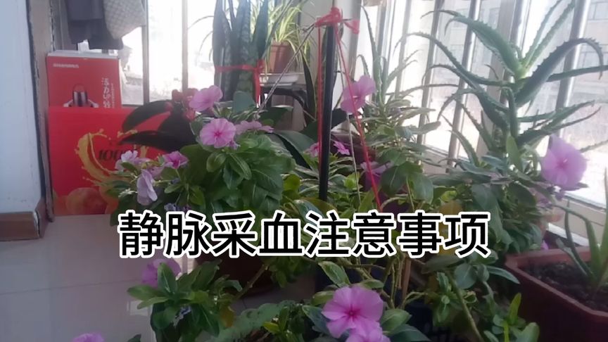 静脉采血注意事项