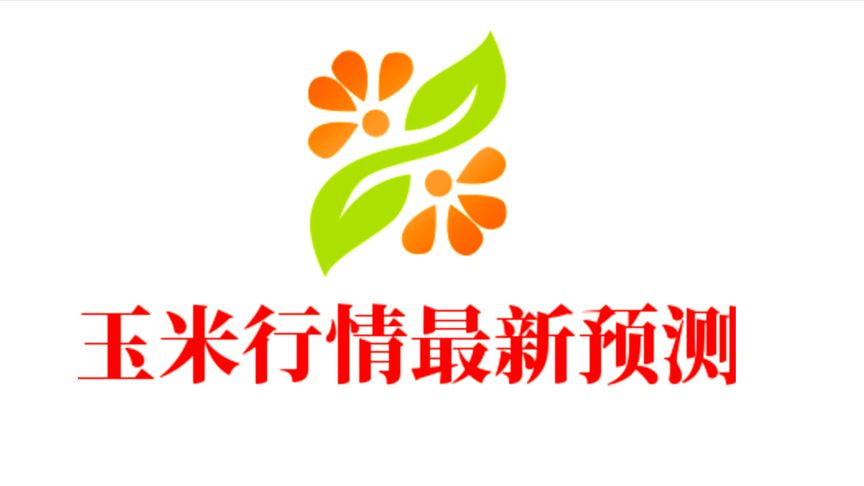 2020玉米价格最新行情走势预测山东今日多少钱斤分析河南后市上涨