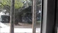 塑钢窗密封方法,门窗密封条,窗户密封条使用方法 高清