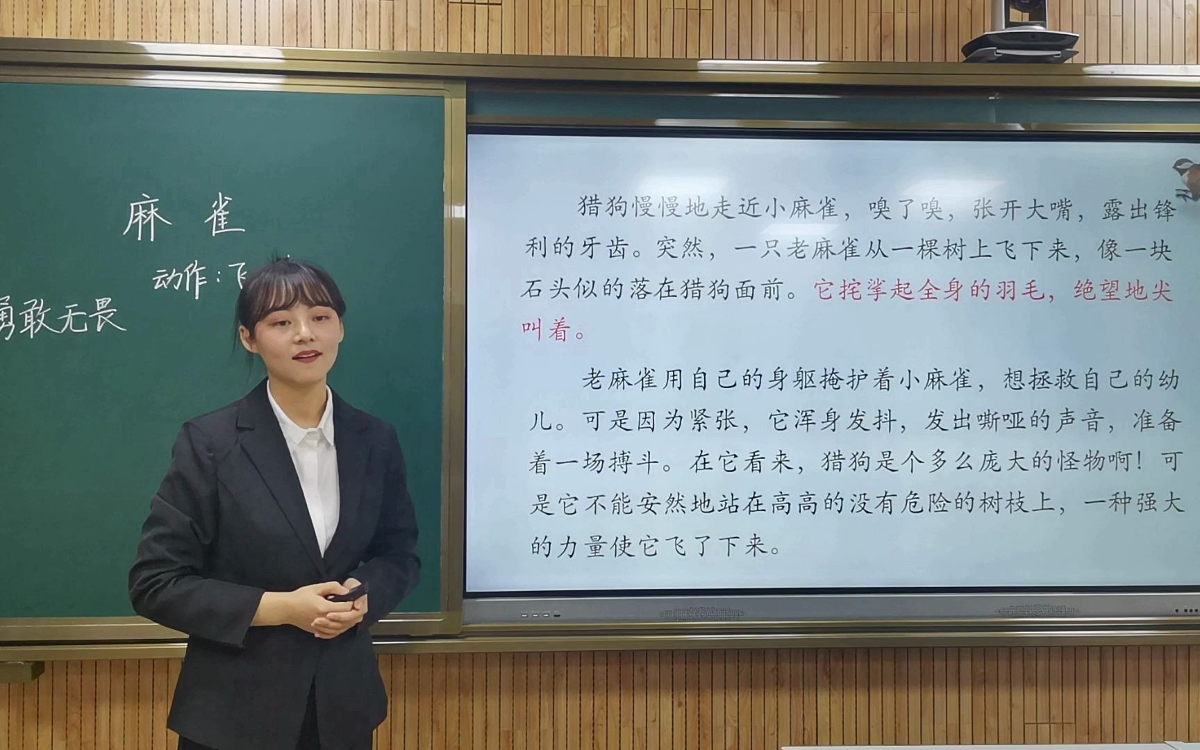 【教师招聘考试】无生试讲《麻雀》教师招聘考试、教资面试通用!