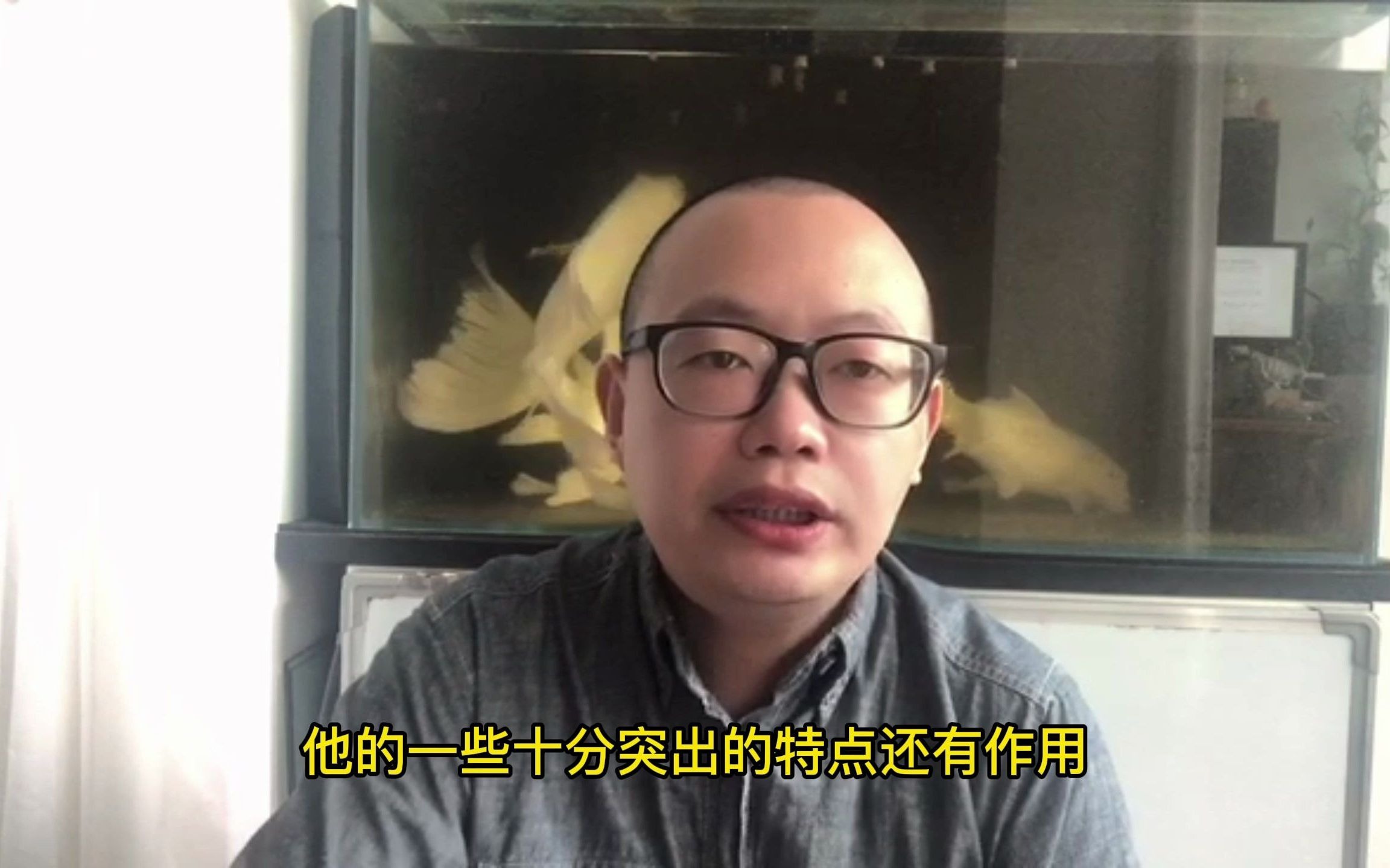 不要因为滴流盒的外观,错判它优秀过滤效果,细数滴流盒优缺点
