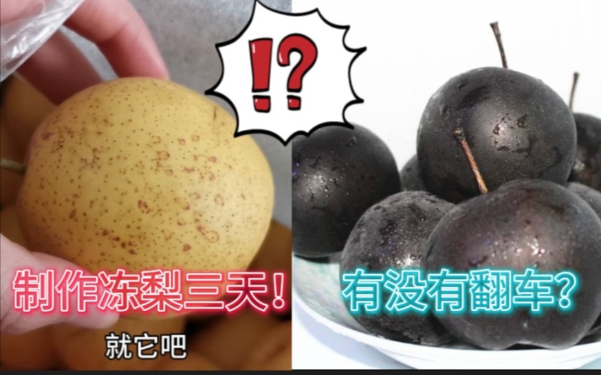 耗时三天,制作东北冻梨,来看看成果如何?
