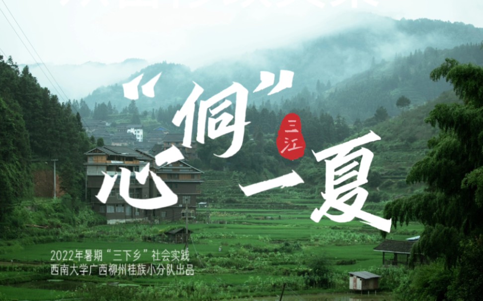 【三下乡】心“侗”一夏|西南大学广西柳州桂族小分队暑期“三下乡”...