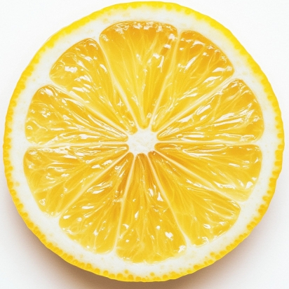 konch- 