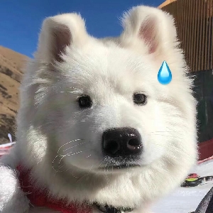 不知名歌唱家逸晨 