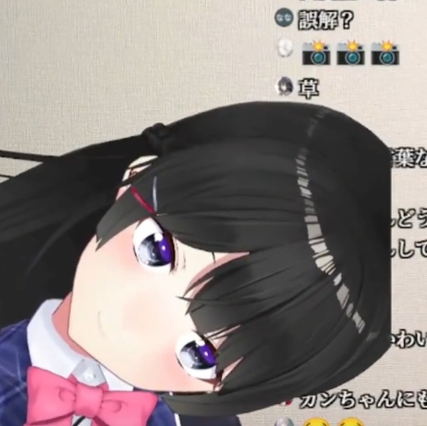 委员长杂鱼搬运 