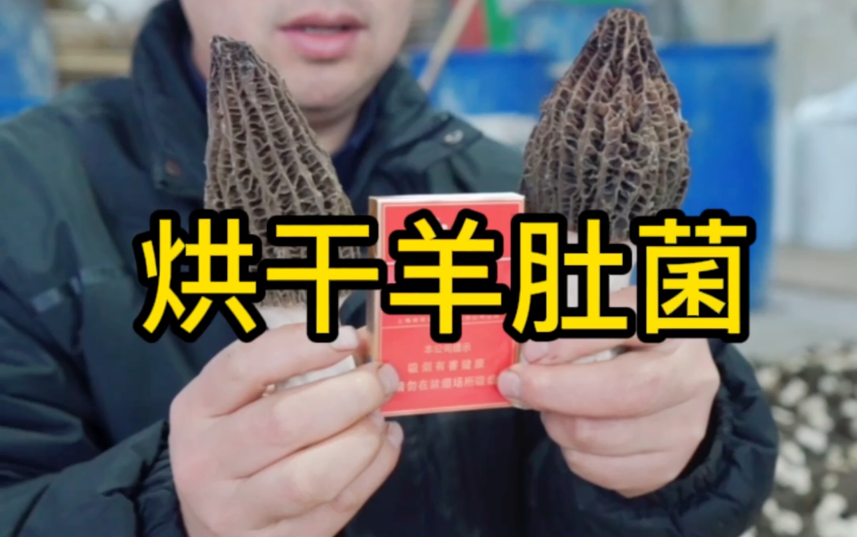 新鲜羊肚菌在烘干的过程,需要注意的三点你知道吗?