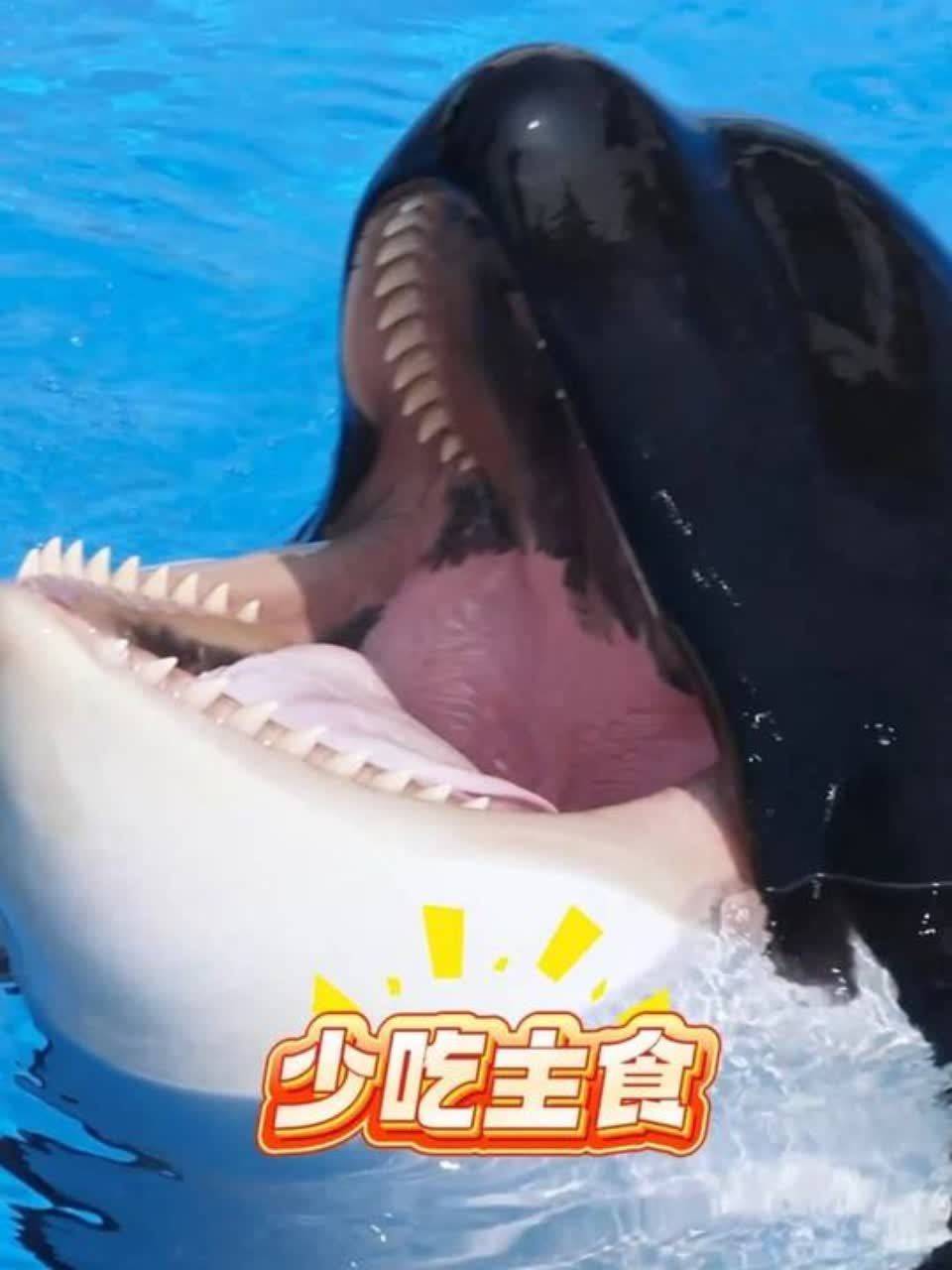 大家帮我看看,我的减肥计划可行吗?