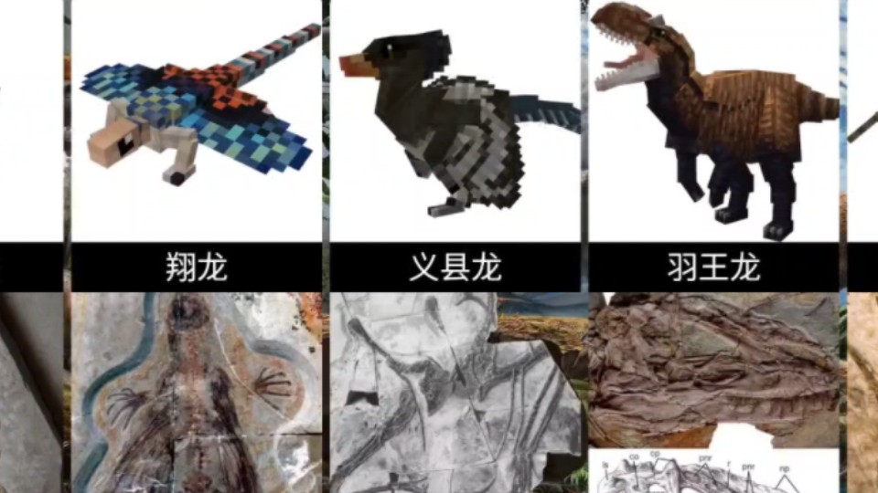 所有生物模型 vs 化石【我的世界】【热河王朝】