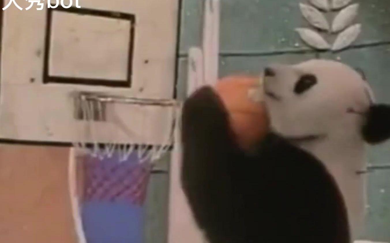 早期春晚的大熊猫表演,这才是真正的国宝级嘉宾