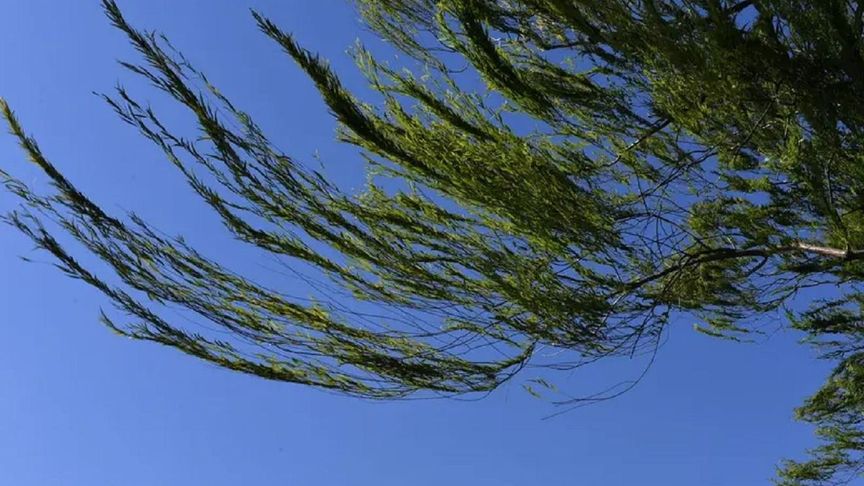 北京发布大风蓝色预警信号!明天阵风可达7至8级