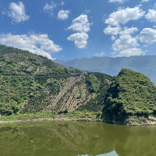 论文排版及小技巧分享 