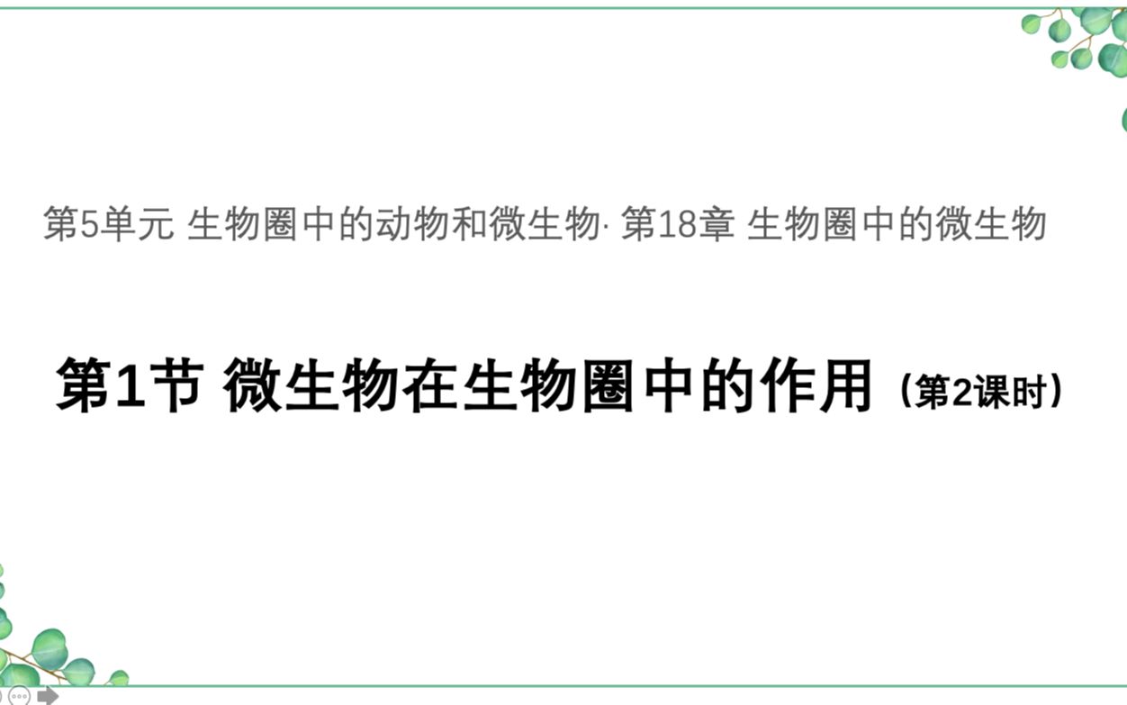 【初中生物】北师大八年级上生物-18.1微生物在生物圈中的作用(下)