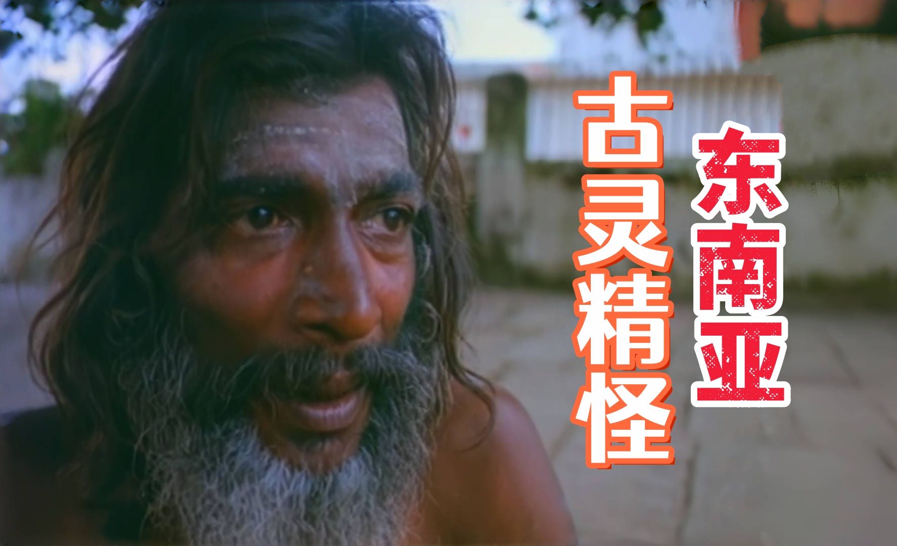 【奥雷】顶级下饭神片!让你看看不一样的亚洲!《古灵精怪东南亚》