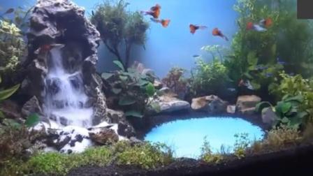 这个鱼缸里不仅有假山瀑布, 还有一个“水池”, 这设计太赞了