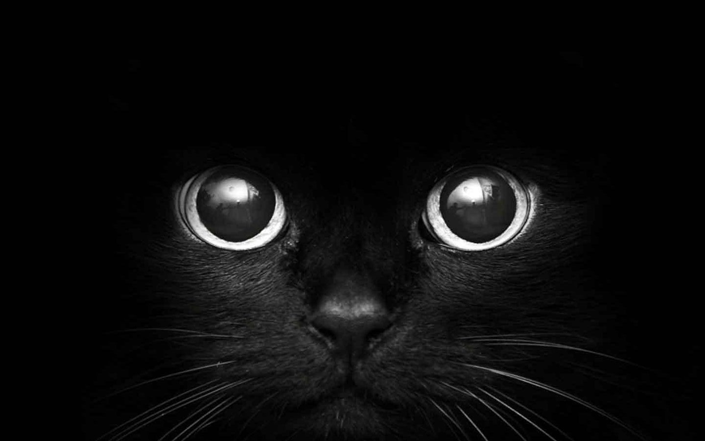 负一钉 白法四锁禁剑技辐辉收藏家