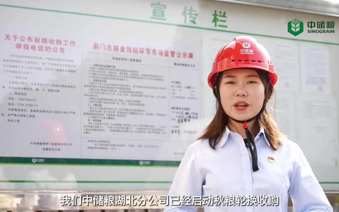 中央储备粮为什么要进行轮换?每年的轮换收购如何开展?“储粮知事”...