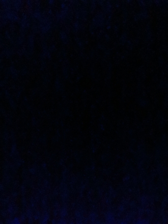 22223456965388 