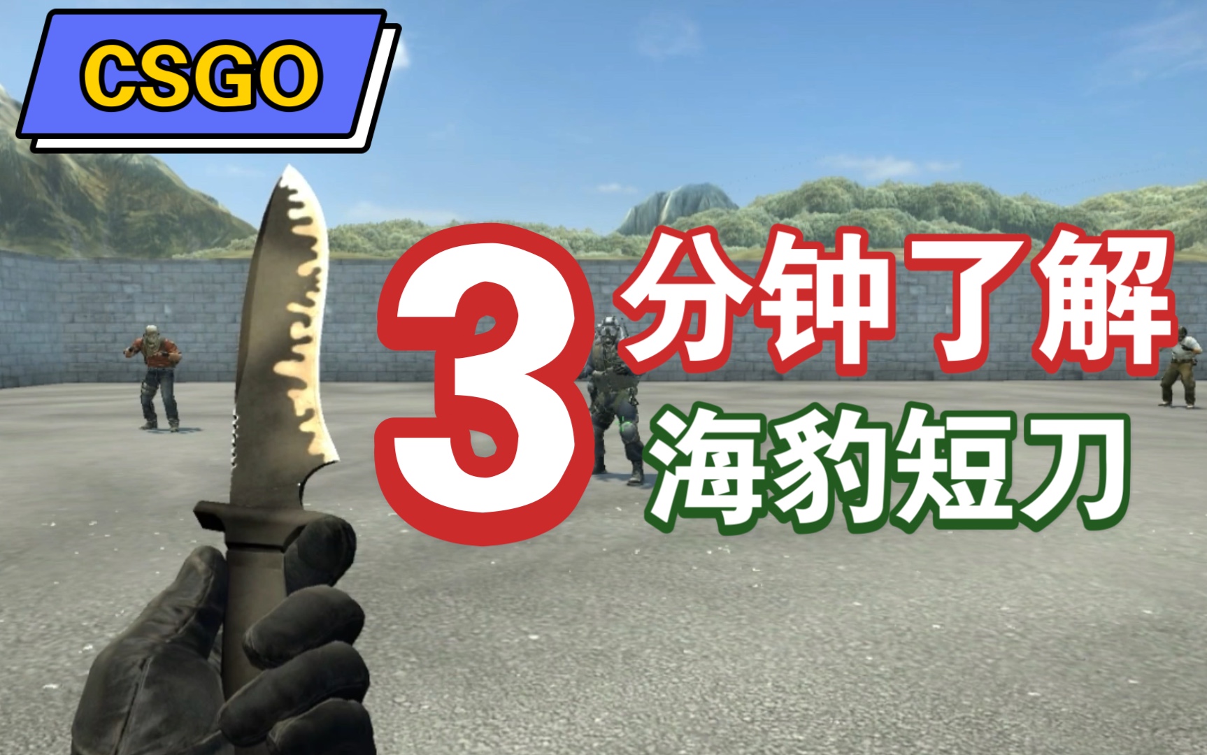 【CSGO】海豹短刀到底如何?3分钟你就知道了