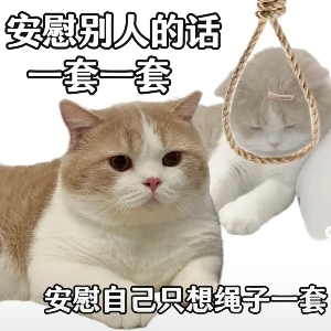 薄荷味儿白久 