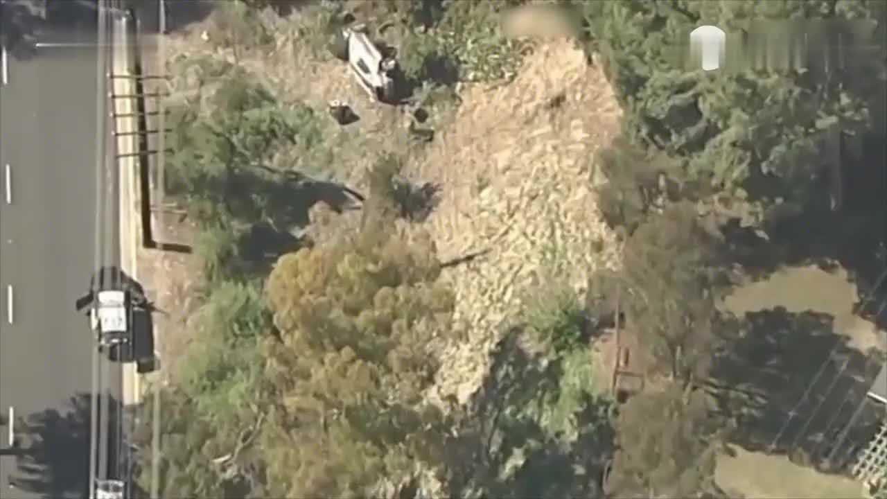 "老虎"伍兹出车祸受伤 特朗普祝早日康复