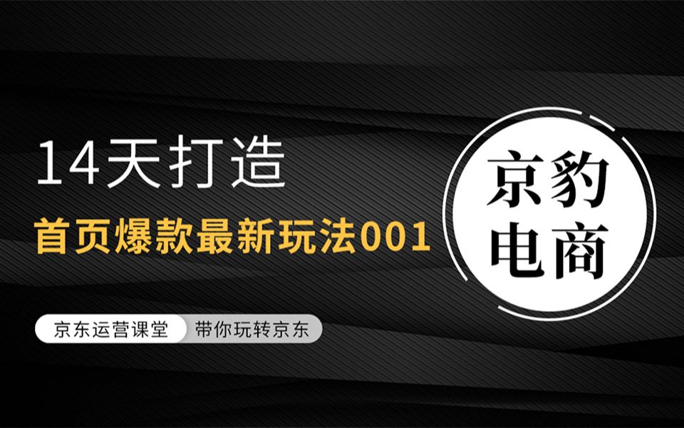 京东运营-14天打造首页爆款最新玩法001