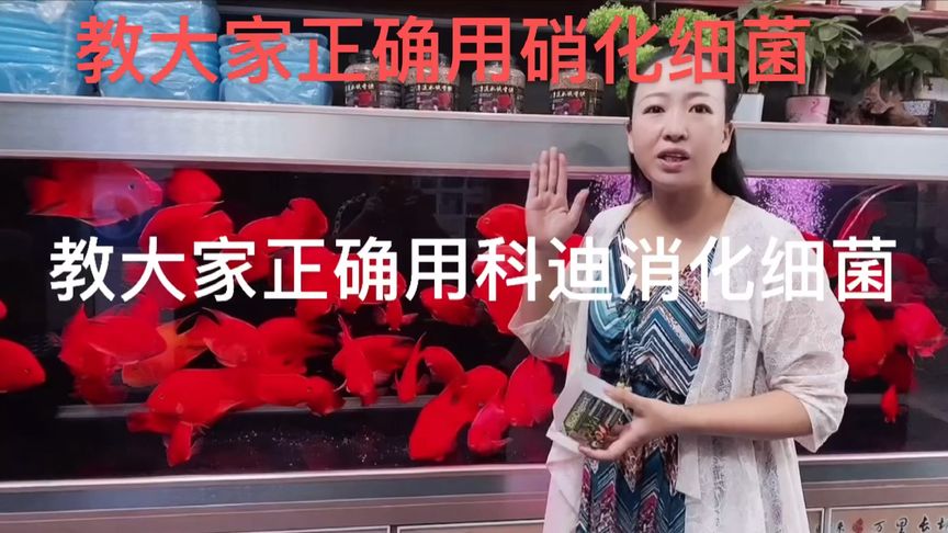#潭溪水族 如何正确使用硝化细菌