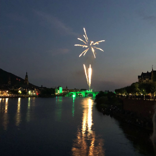 海德堡的春夏秋冬 