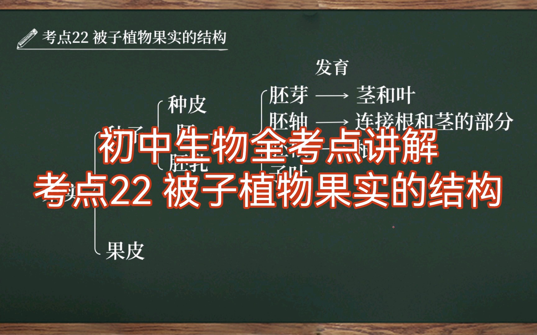 【初中生物全考点讲解|七上】考点22 被子植物果实的结构