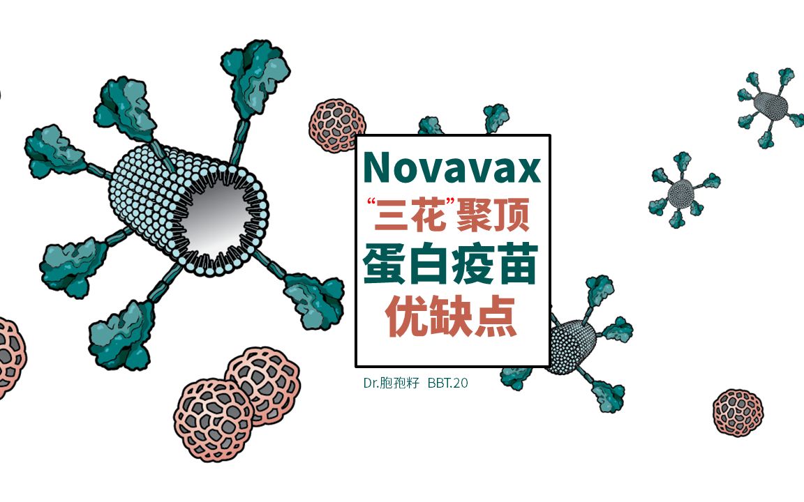 .../Novavax蛋白疫苗优缺点, 黑科技, 生产工艺.不断进化的重组蛋白疫苗