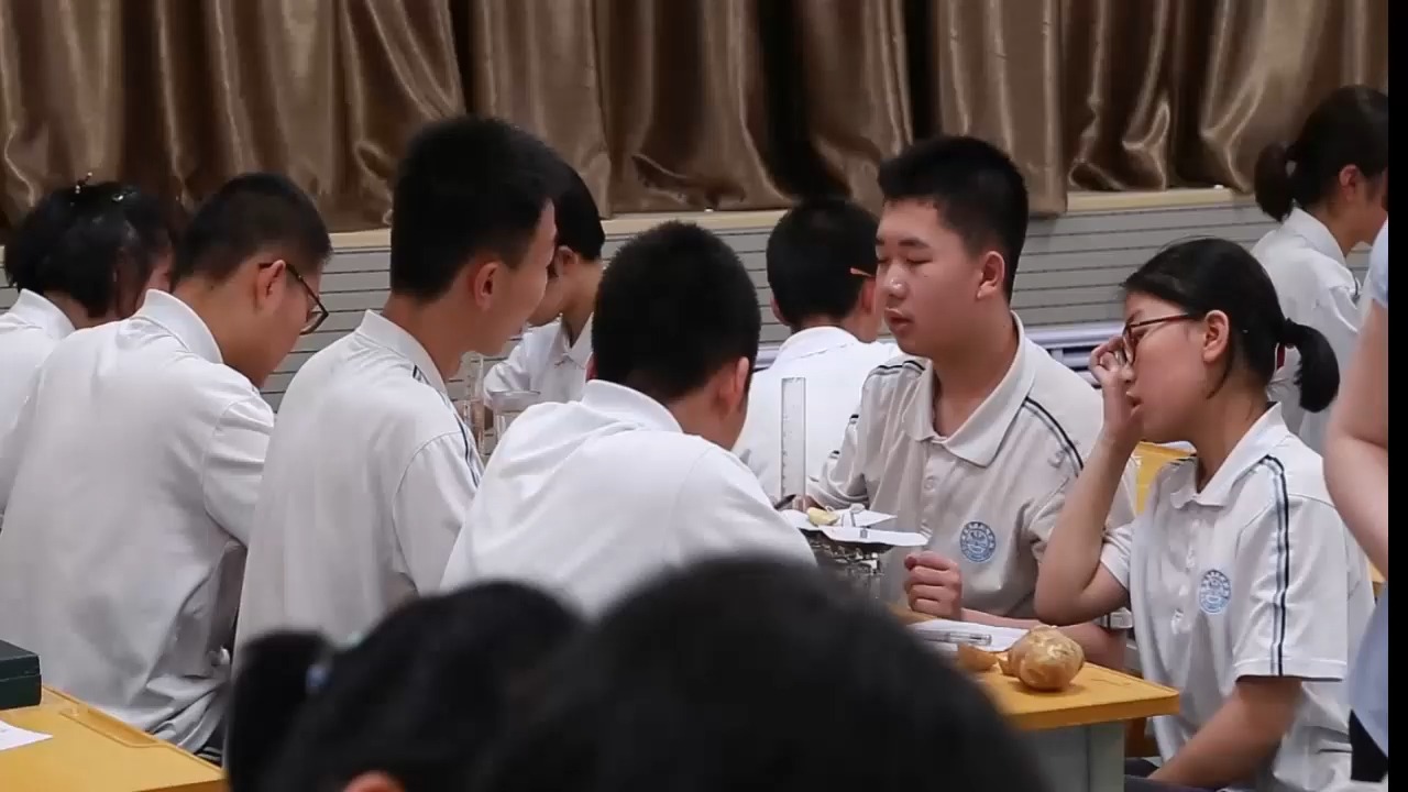 6.6 综合实践活动