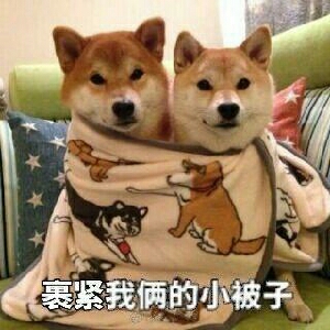 继续丶颠沛流离 
