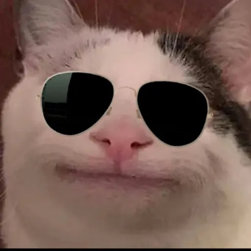 一个神秘的船长 