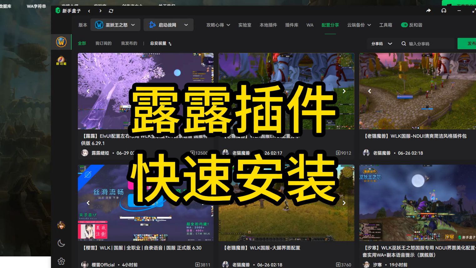 露露插件快速安装_魔兽世界