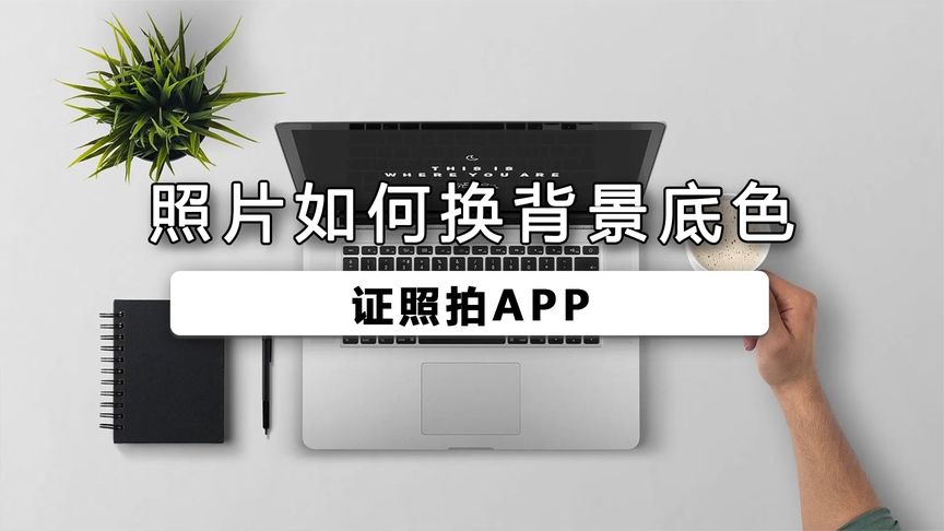 照片如何换背景底色