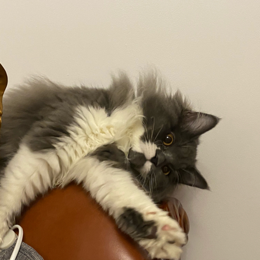 33爱学习每天要进步 