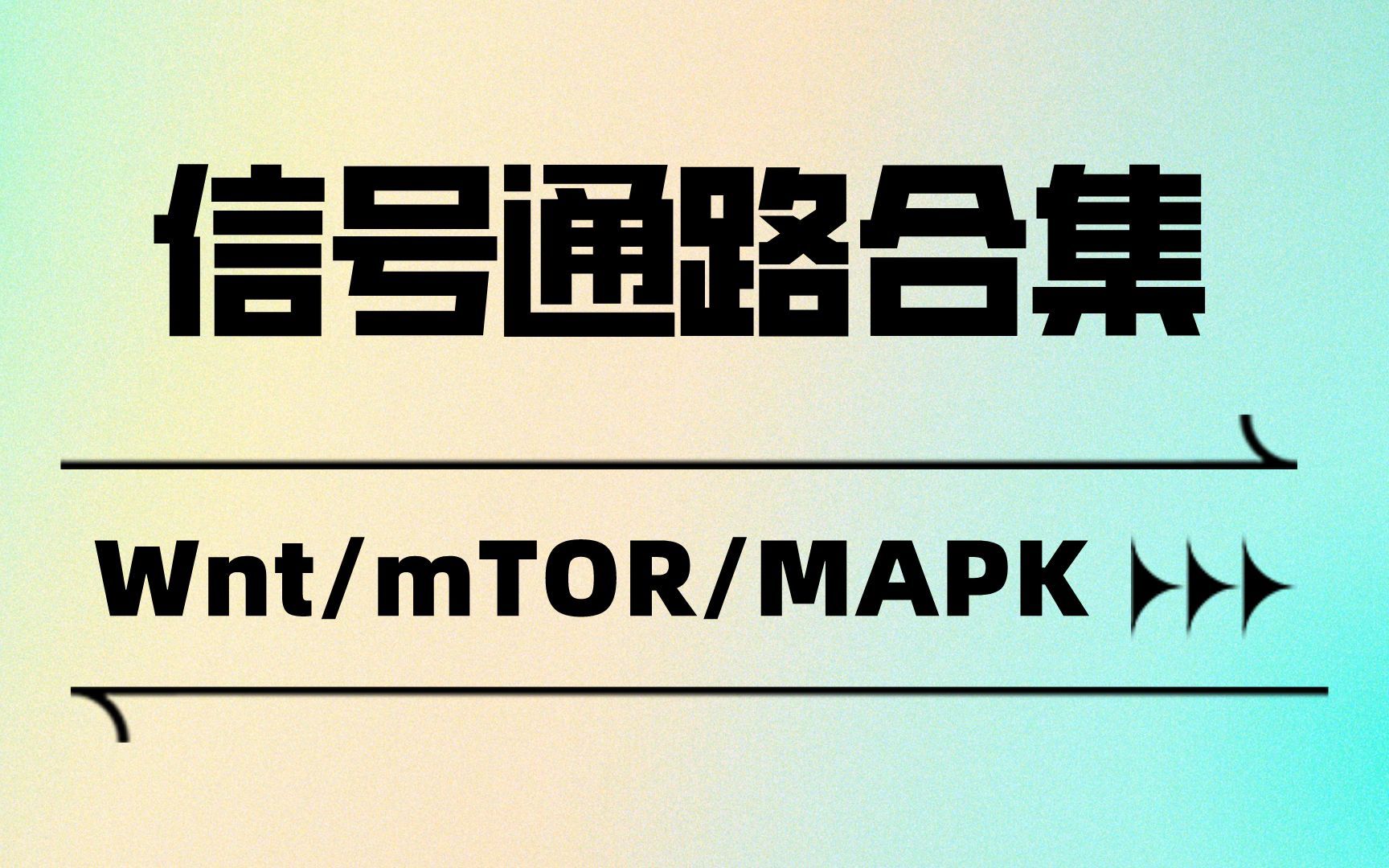 细胞信号通路合集: Wnt, mTOR, MAPK, Hippo, JAK/STAT, RAS.