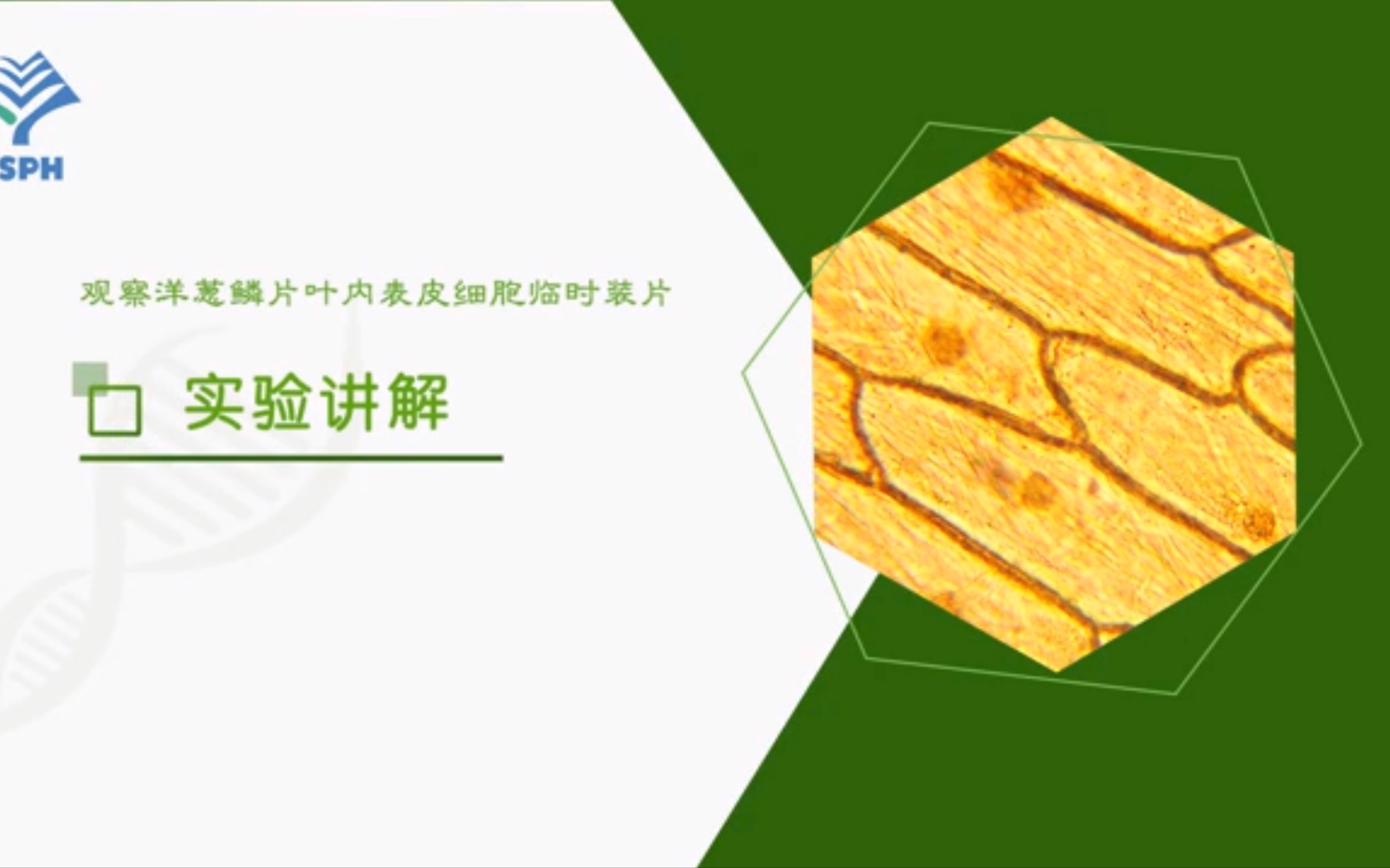 「教育科学出版社」中考生物实验-观察洋葱叶内表皮临时装片