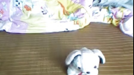 定格动画 会动的狗