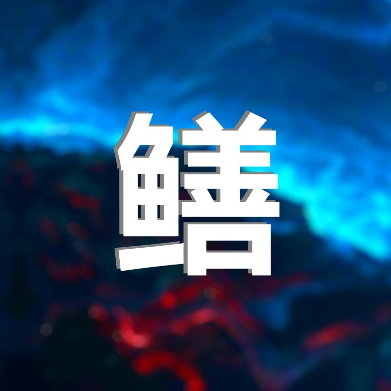 带鳝人shan_dsr 