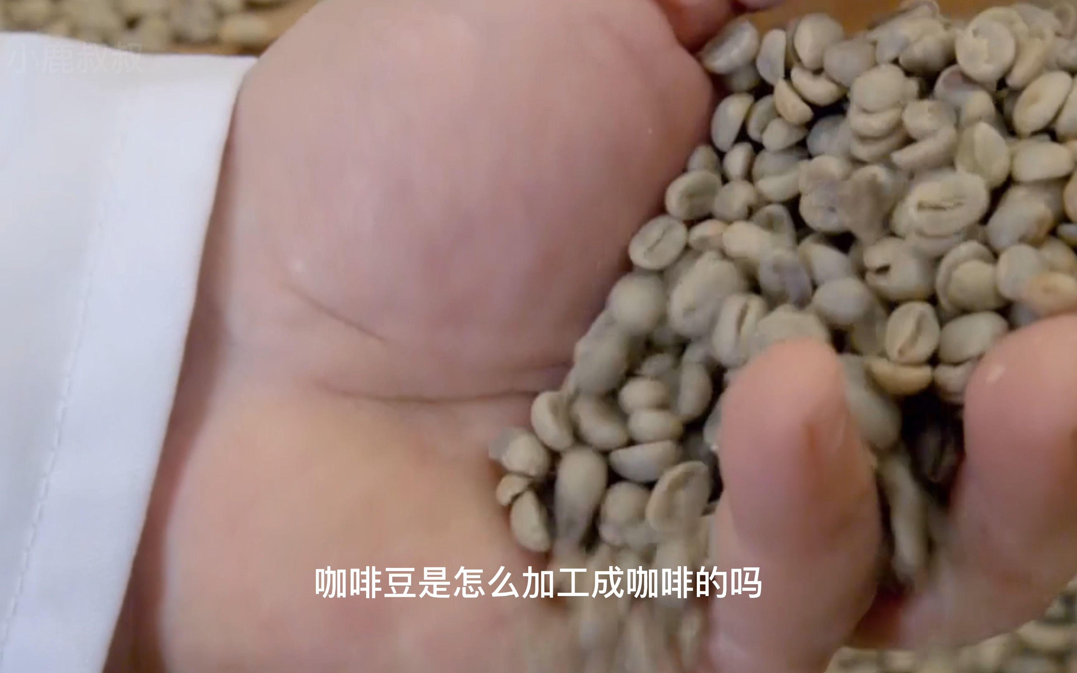 咖啡豆是怎么加工成咖啡的,我们一起来看一下吧
