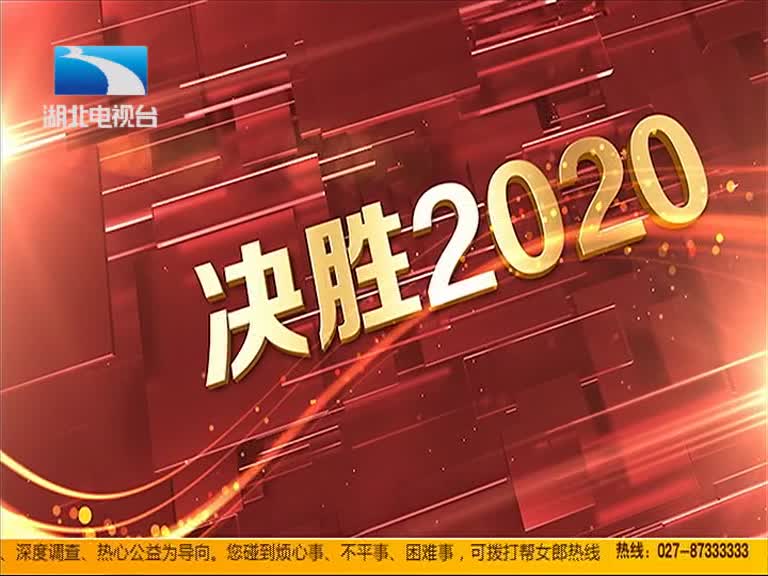 2020湖北两会:湖北省第十三届人民代表大会第三次会议圆满闭幕