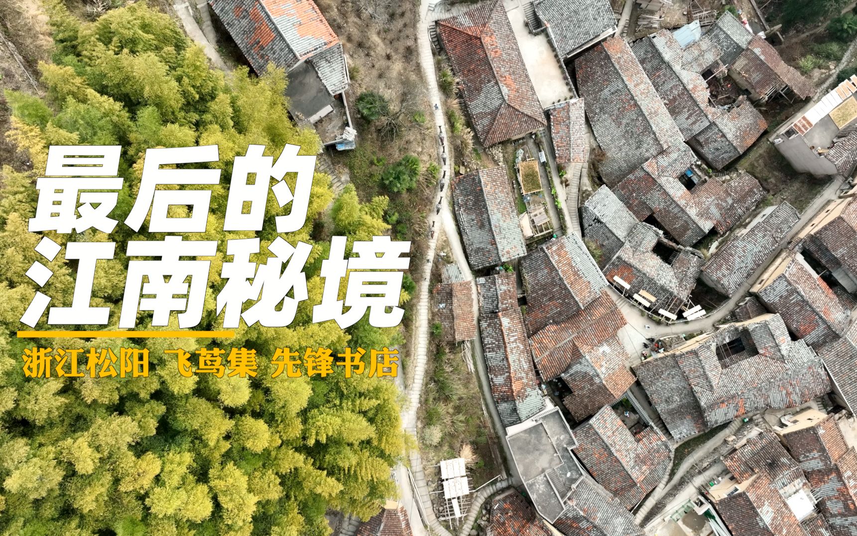 纯电动车跑长途行不行?开电车探索江南最后的秘境浙江松阳