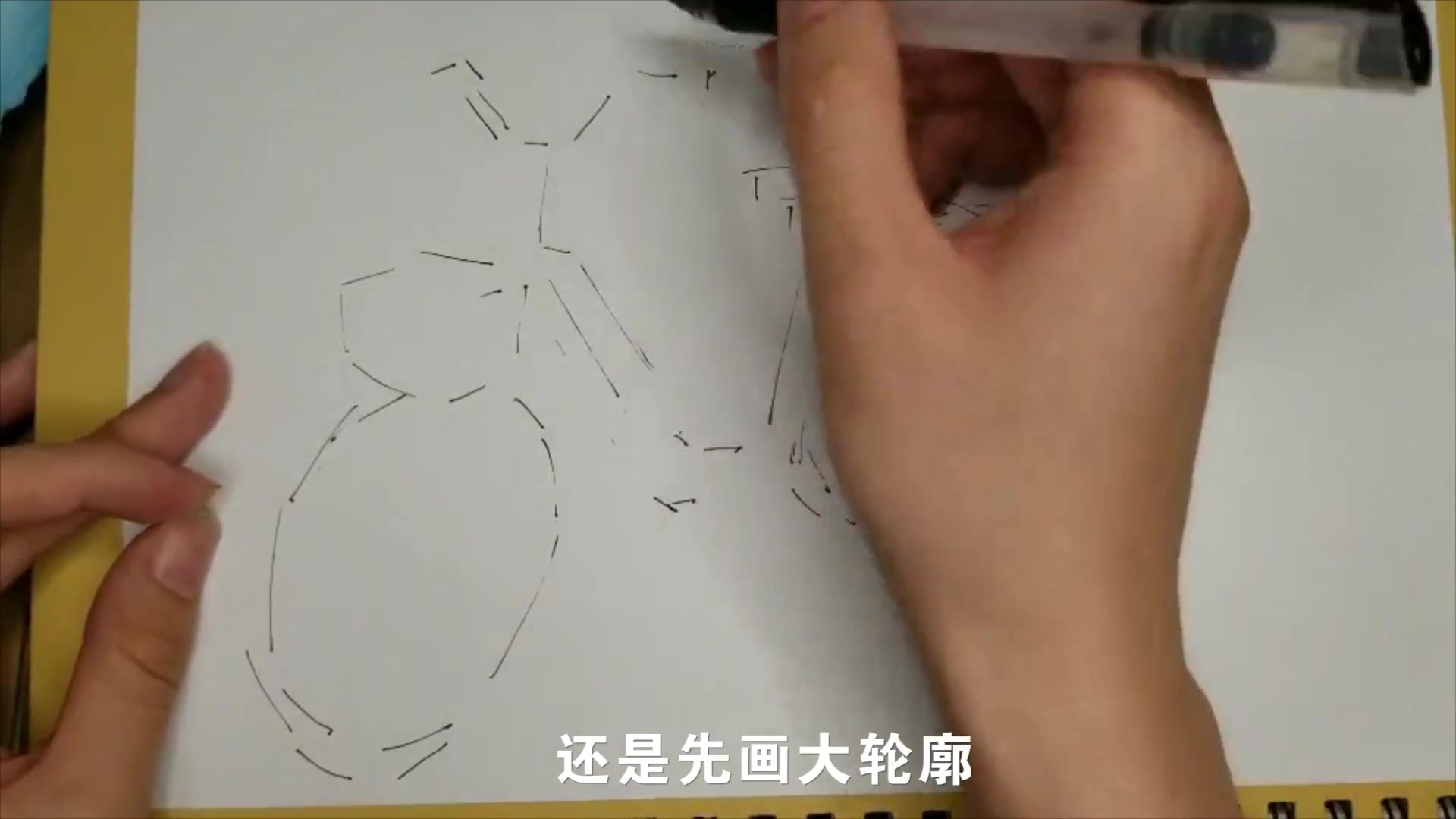 五年级美术,精细的描写,示范