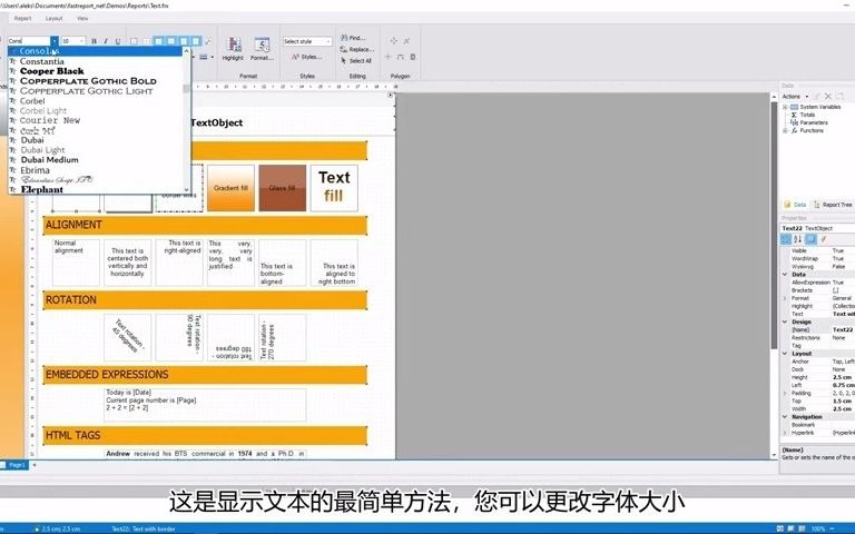 FastReport .NET对象:文本使用详细介绍