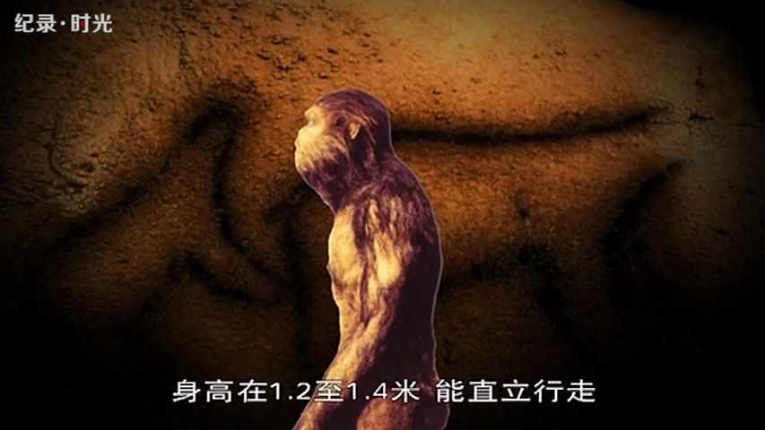 百集纪录片《世界历史》第1集 人类历史的开端——石器时代的人们