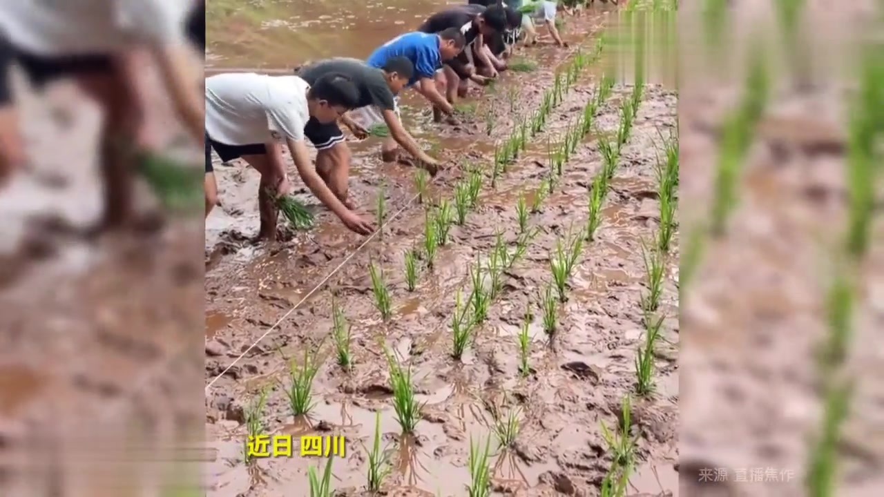 学校组织劳动实践教育,40人同时插秧,估计一块田只要10分钟