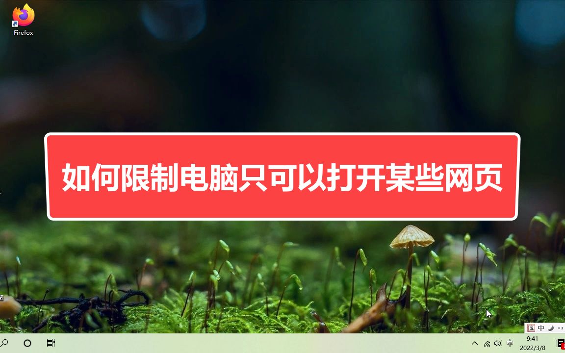 如何限制电脑只可以打开某些设定的网页