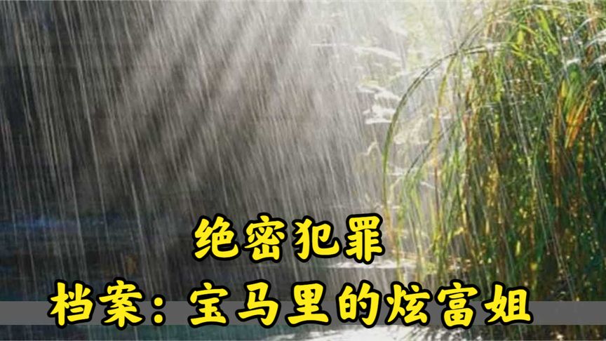 绝密犯罪档案:宝马里的炫富姐