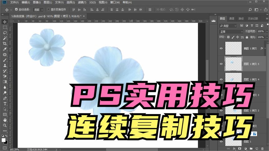 PS实用技巧之 连续复制,制作花朵,超级实用PS技巧